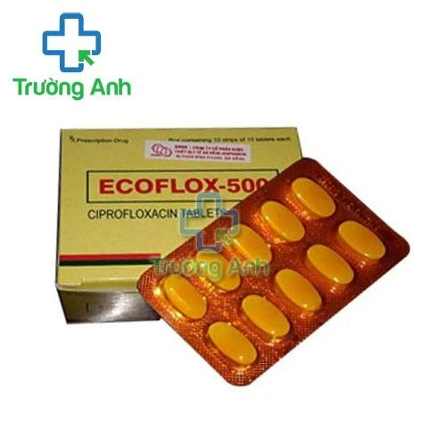 Ecoflox 500 - Thuốc kháng sinh điều trị các nhiễm khuẩn bệnh lý